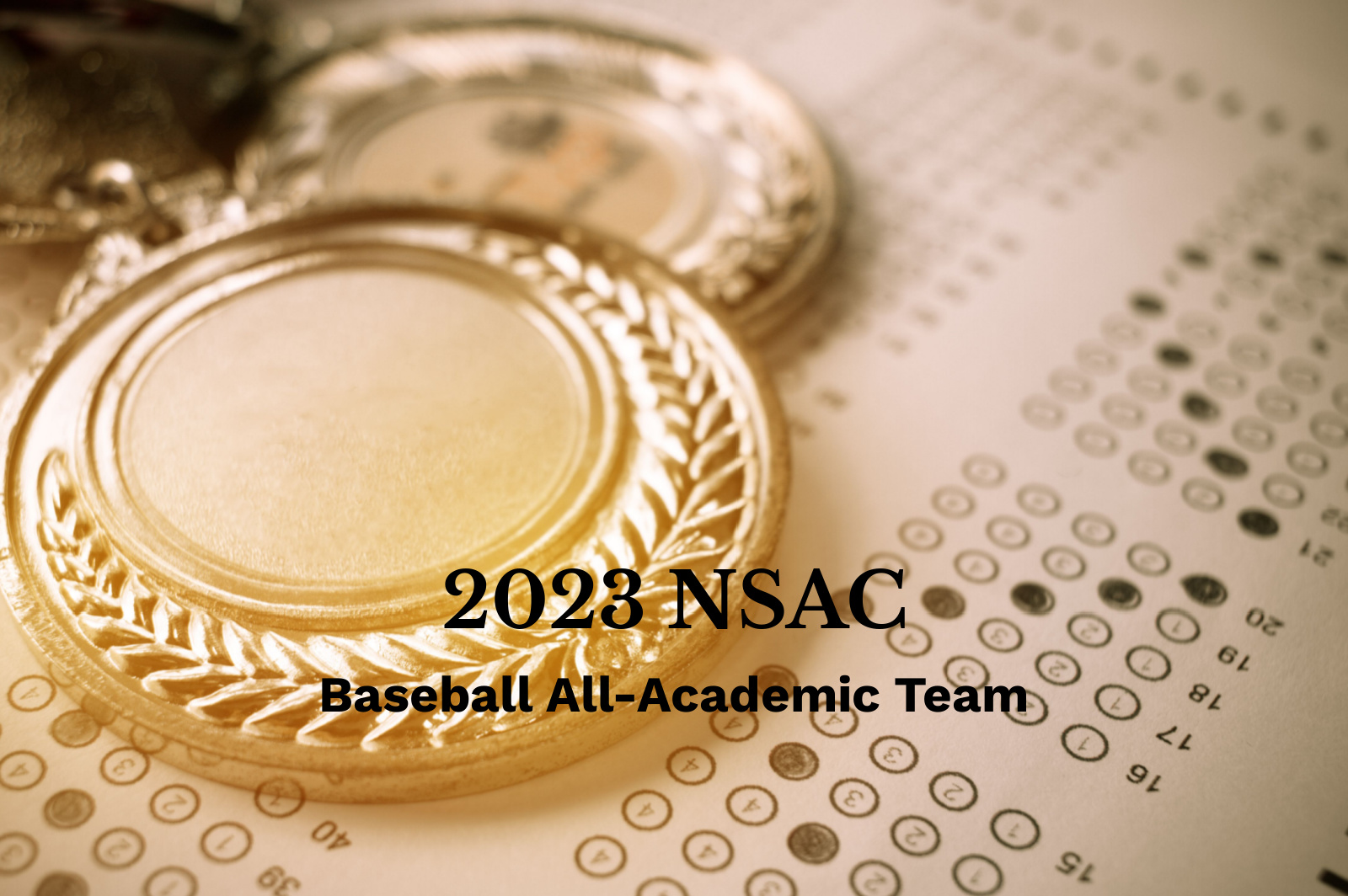 NSAC Honors 2023 Baseball All-Academics – NSAC Baseball